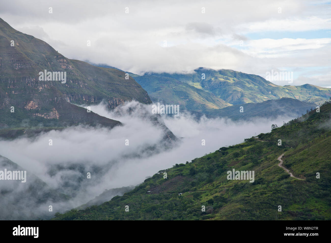 Foothills,Andean Mountains,Rice Area, workers planting Rice,Hanging ...