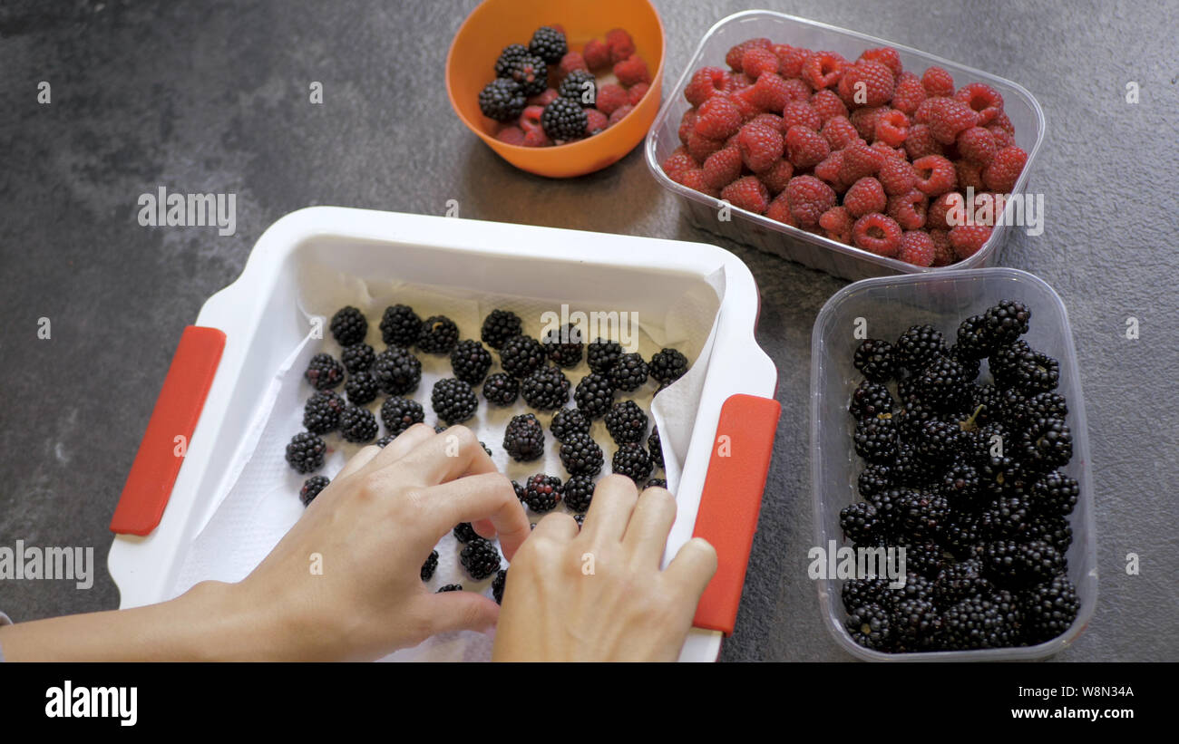 Girl dries blackberries and raspberries after washing Stock Photo - Alamy