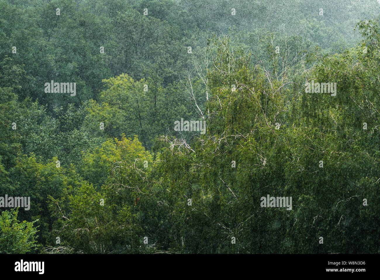 Tropical Rainy Climate High Resolution Stock Photography and Images - Alamy