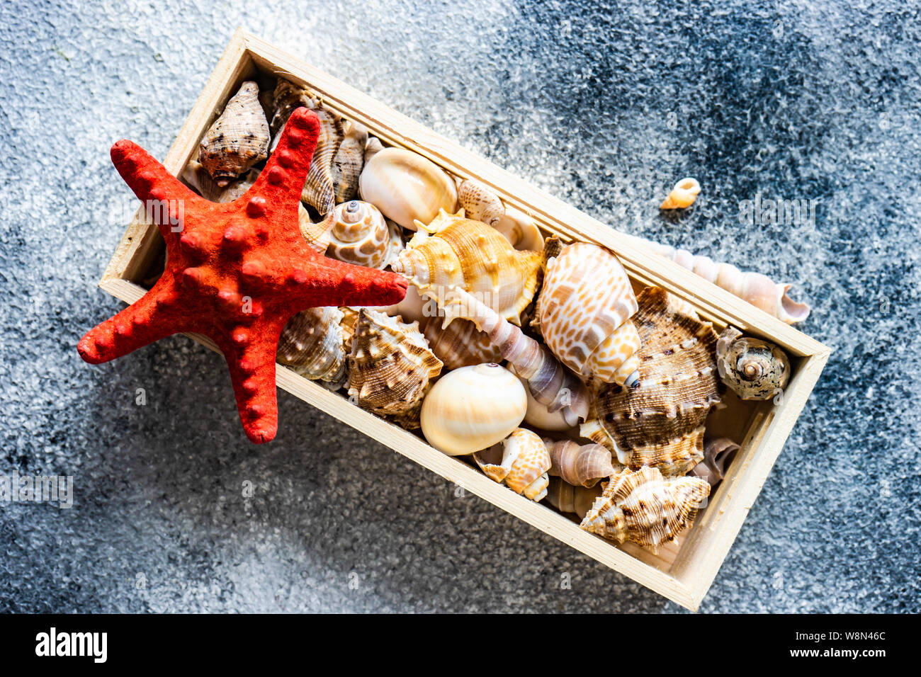 Full of shells hi-res stock photography and images - Alamy