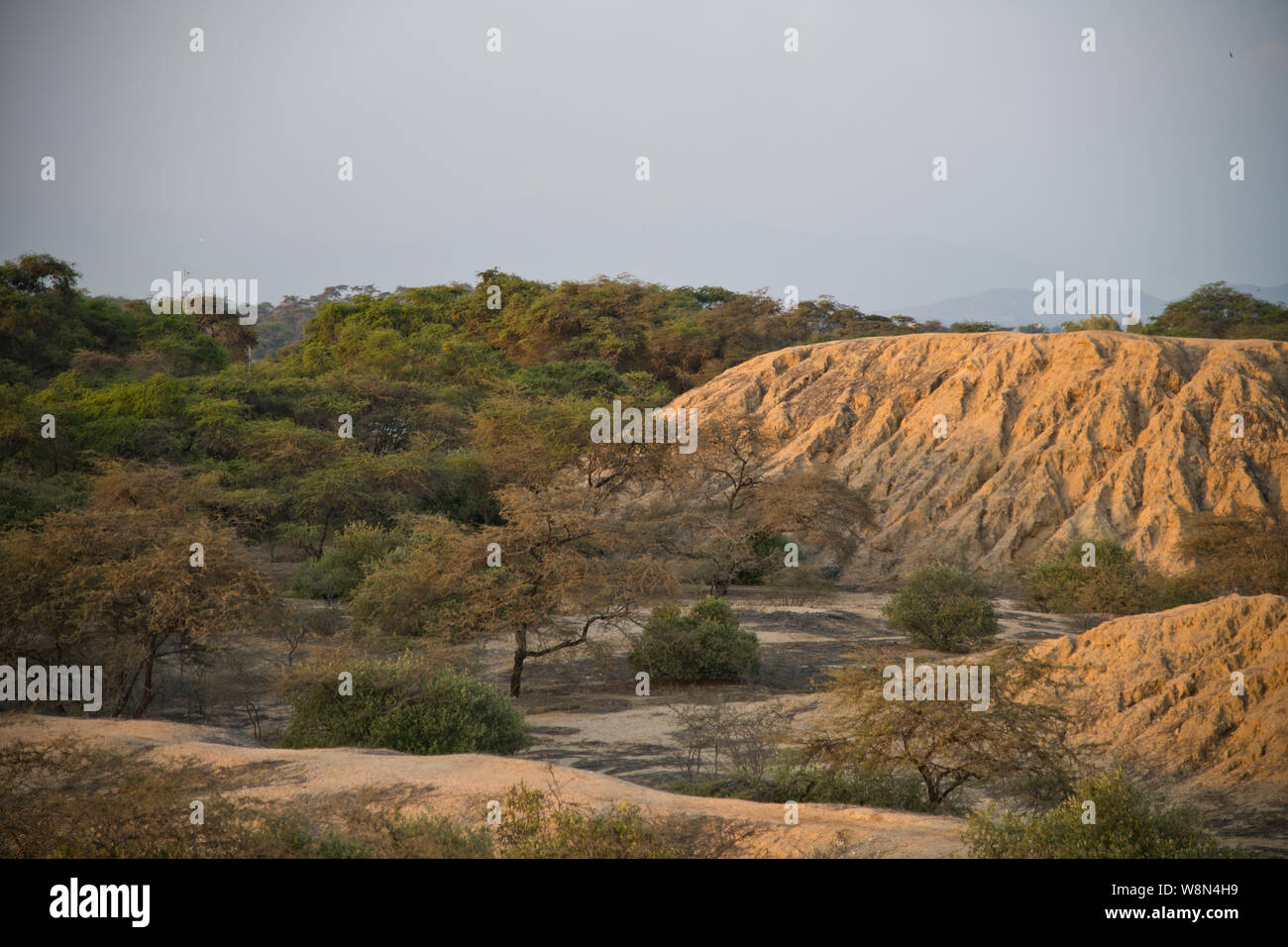 Burial Mounds,Treasures,Tombs,Pyramids,Erosion over Time,Moche Noblemen ...