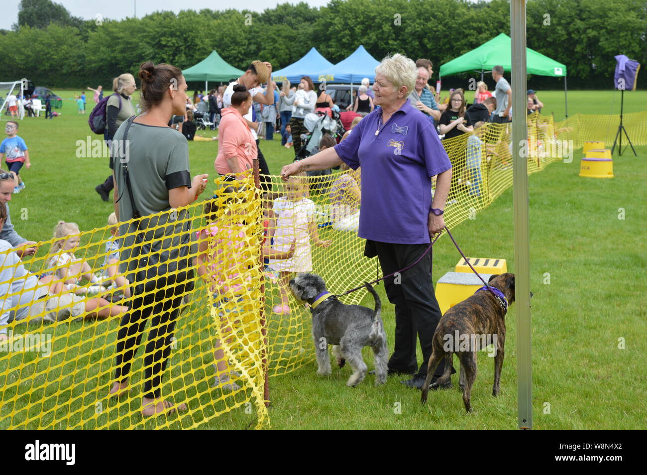 dog competition trained dog racing and jumping and playing champion ...