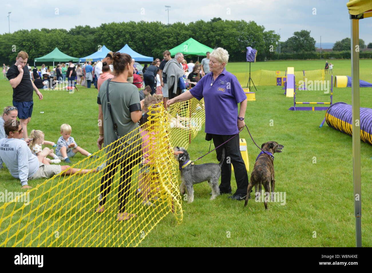 dog competition trained dog racing and jumping and playing champion ...