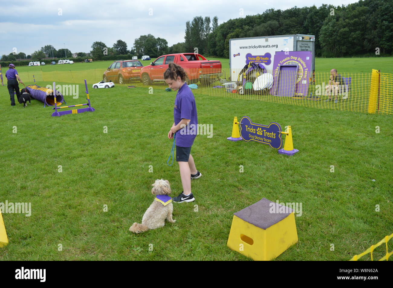 dog competition trained dog racing and jumping and playing champion ...