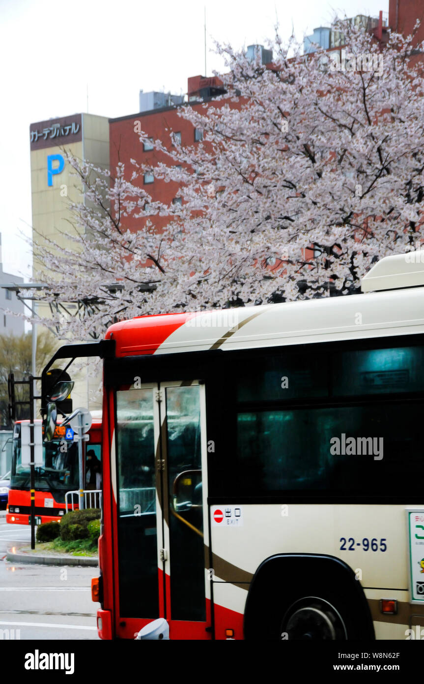 Local bus Japan Stock Photo - Alamy