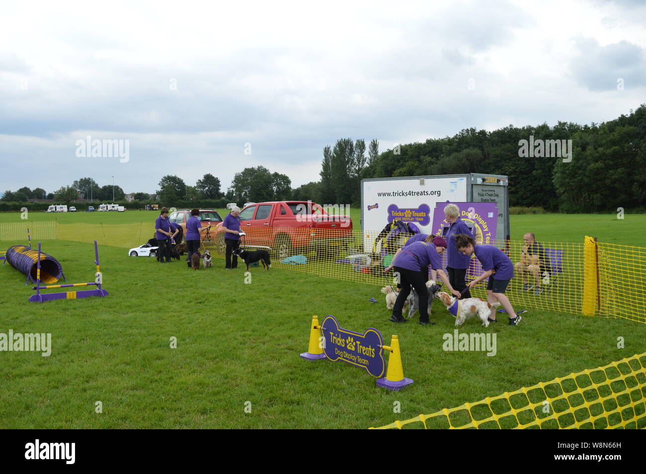 dog competition trained dog racing and jumping and playing champion ...