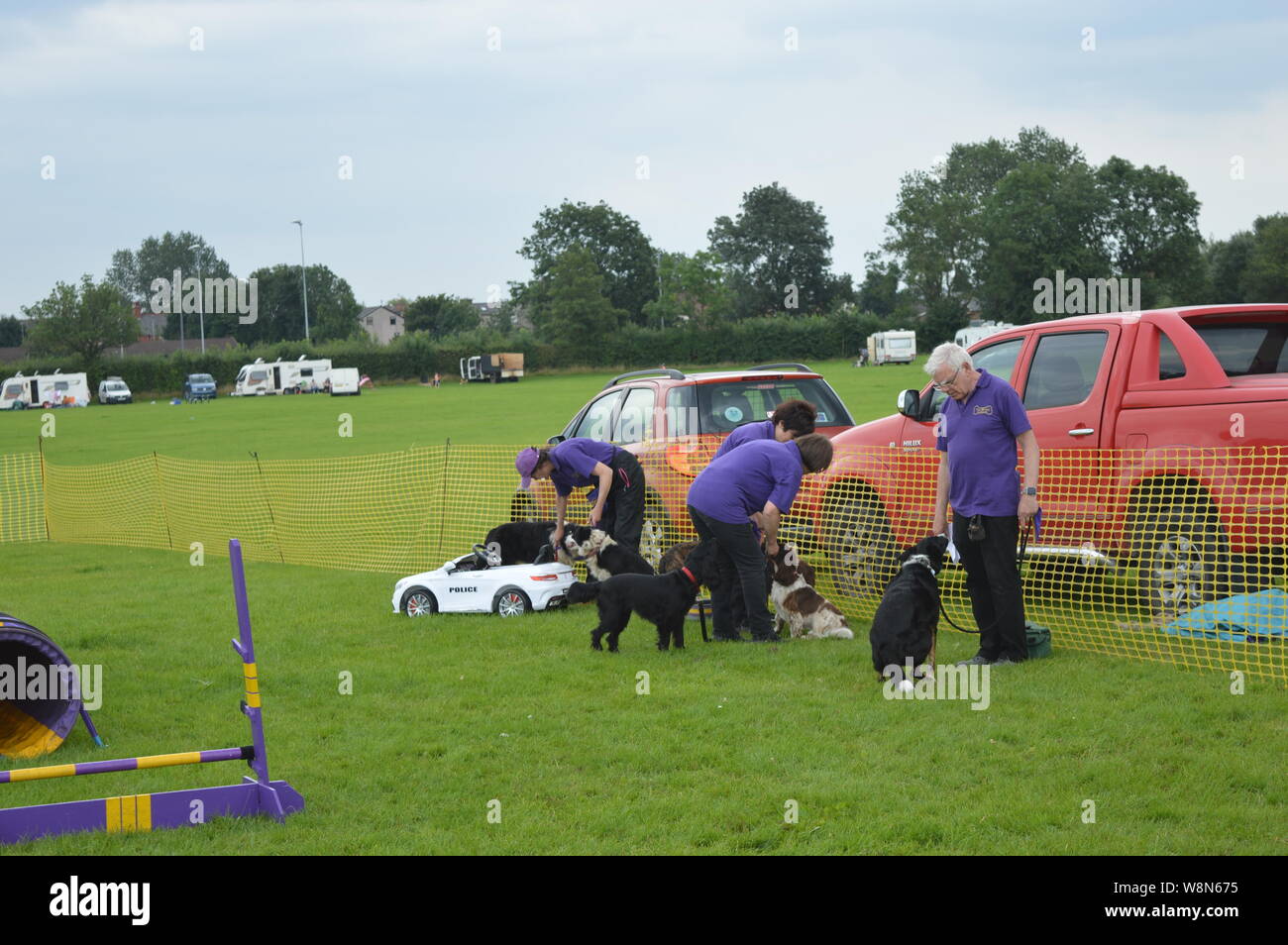 dog competition trained dog racing and jumping and playing champion ...