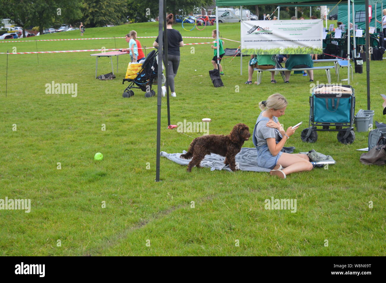 dog competition trained dog racing and jumping and playing champion ...