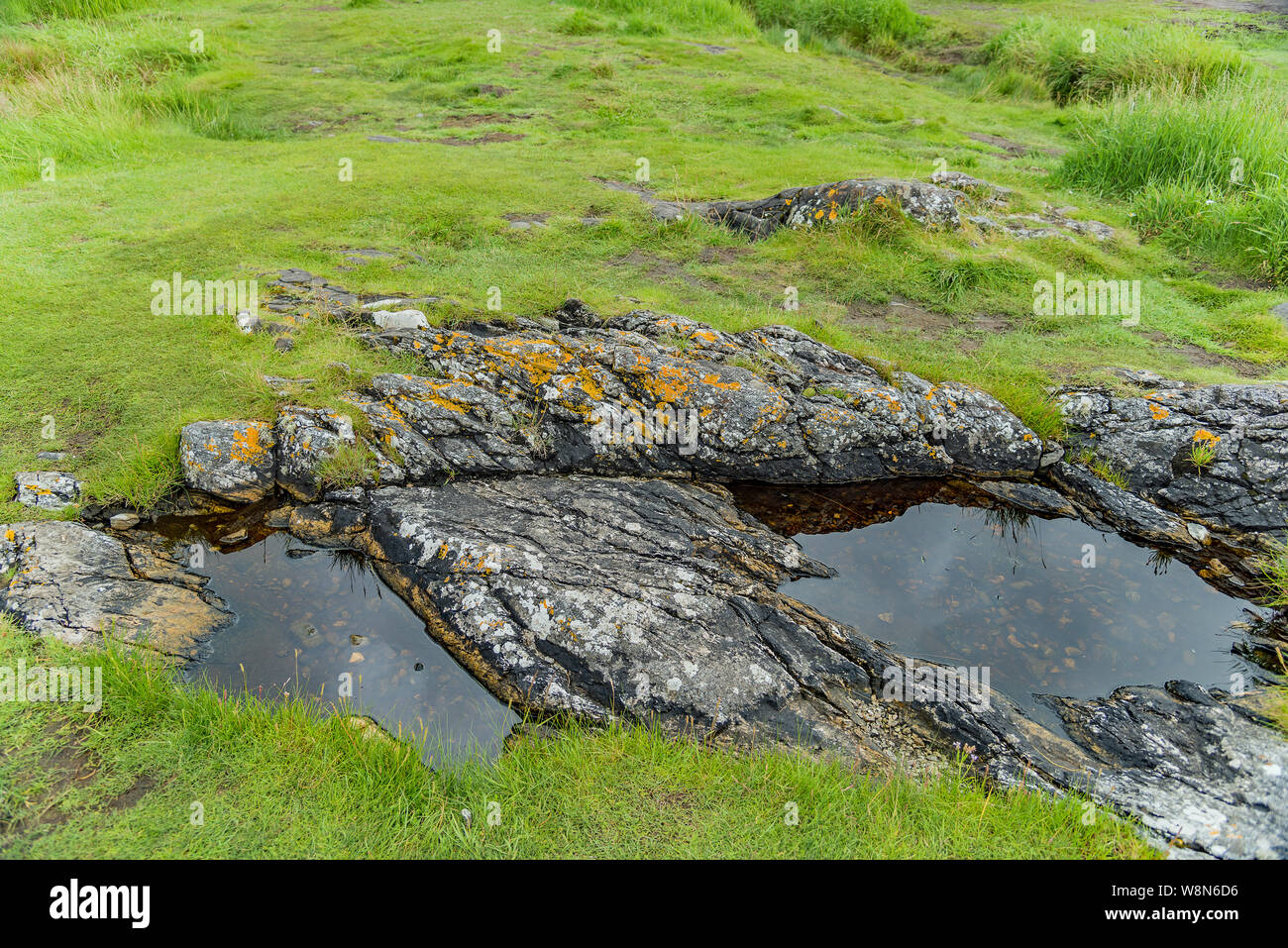 Tidal pools hi-res stock photography and images - Alamy