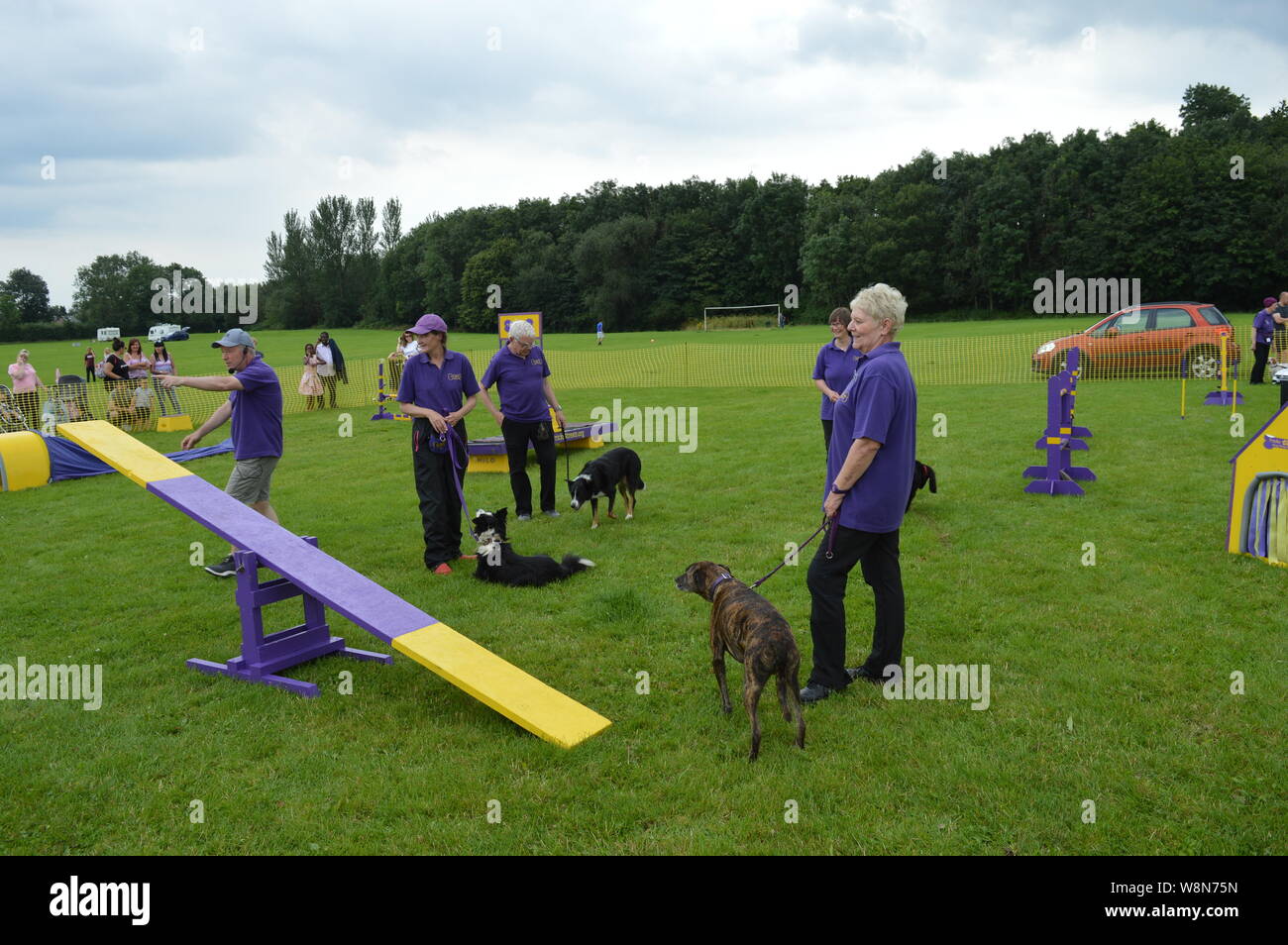 dog competition trained dog racing and jumping and playing champion ...