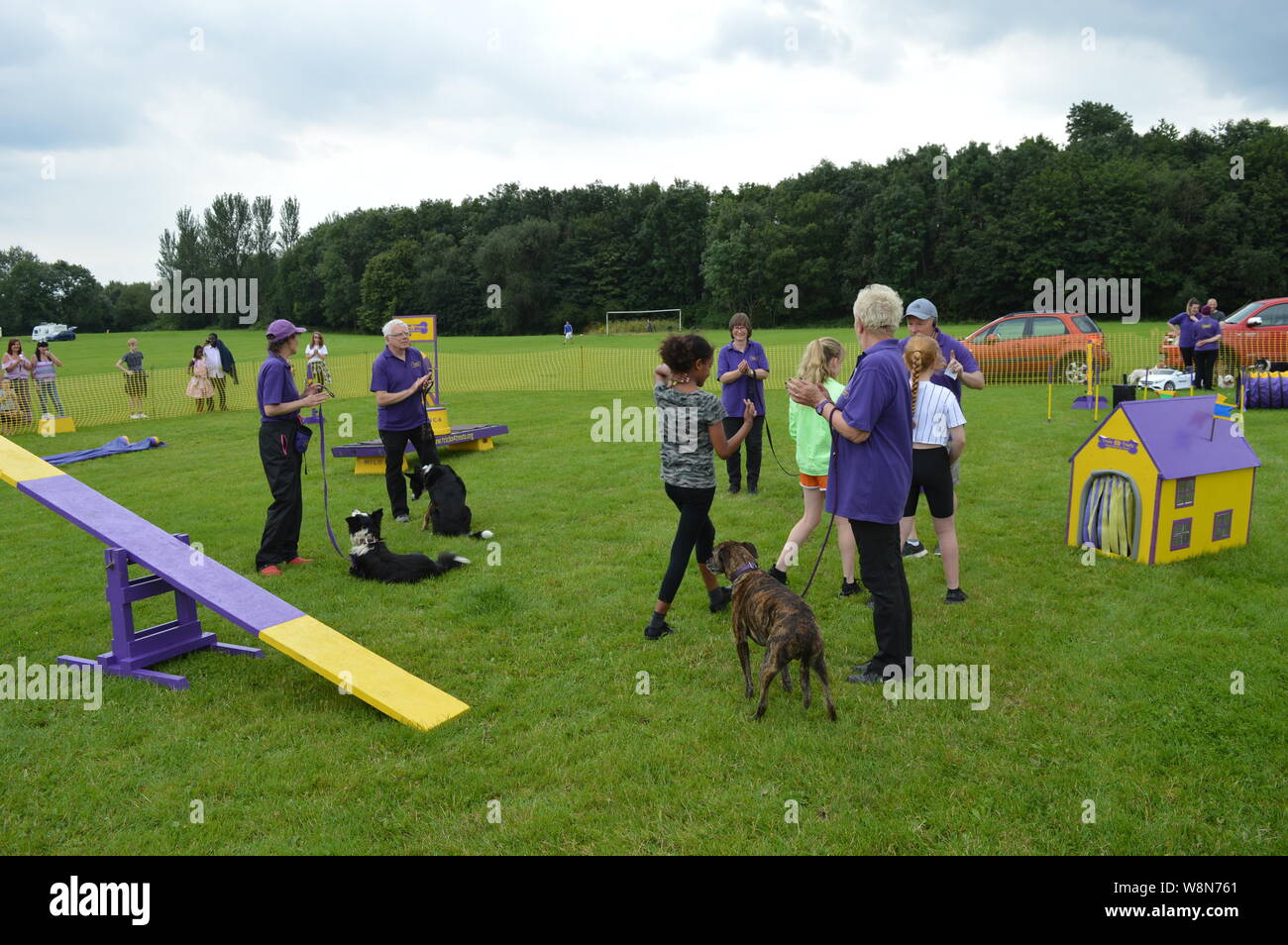 dog competition trained dog racing and jumping and playing champion ...