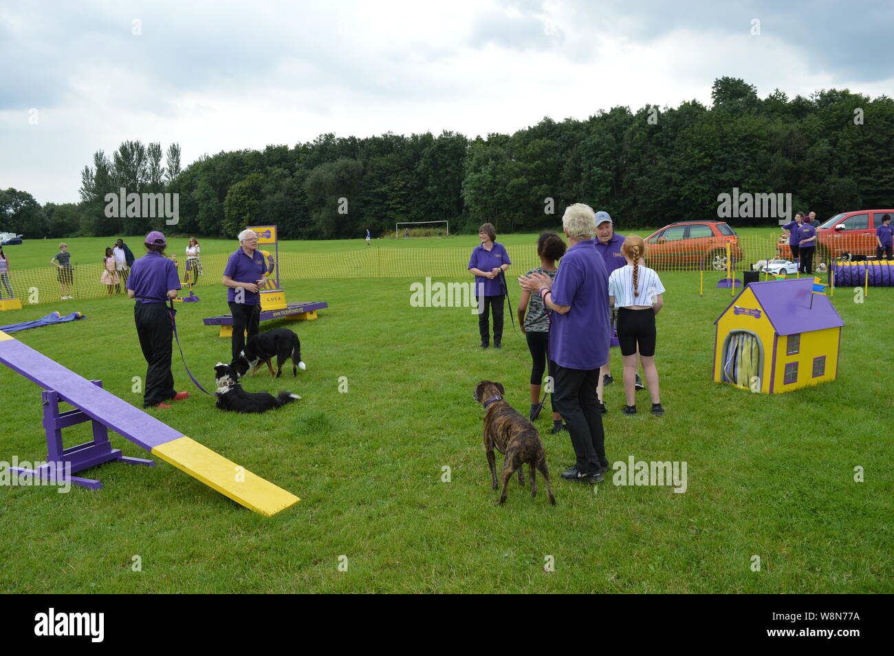 dog competition trained dog racing and jumping and playing champion ...