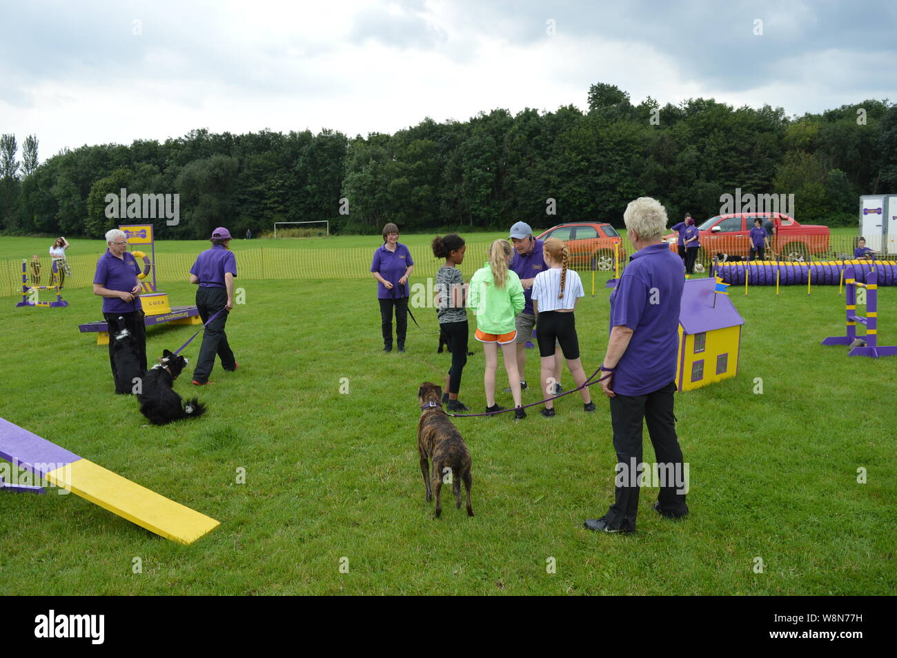 dog competition trained dog racing and jumping and playing champion ...