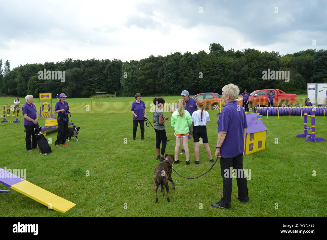 dog competition trained dog racing and jumping and playing champion ...