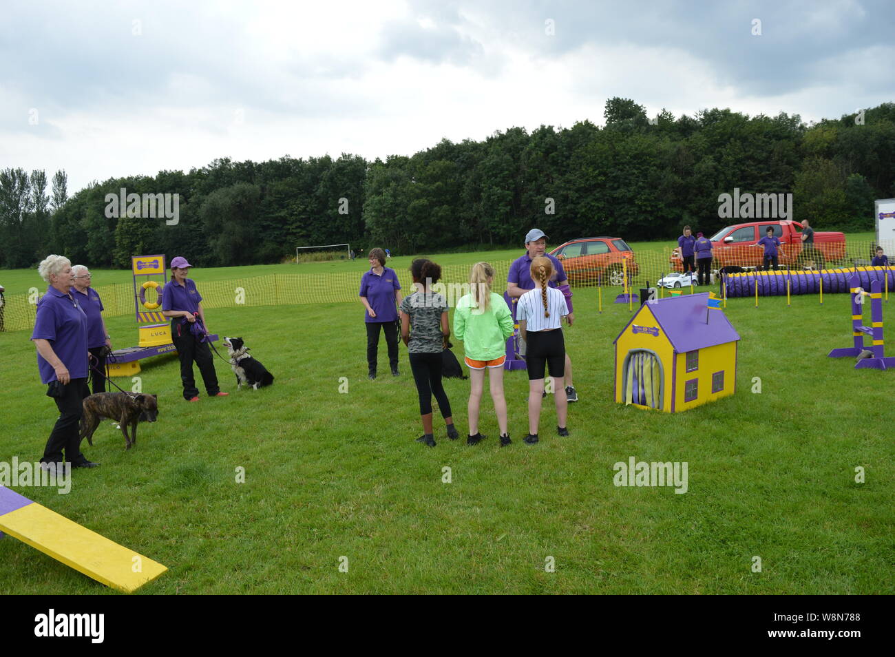 dog competition trained dog racing and jumping and playing champion ...