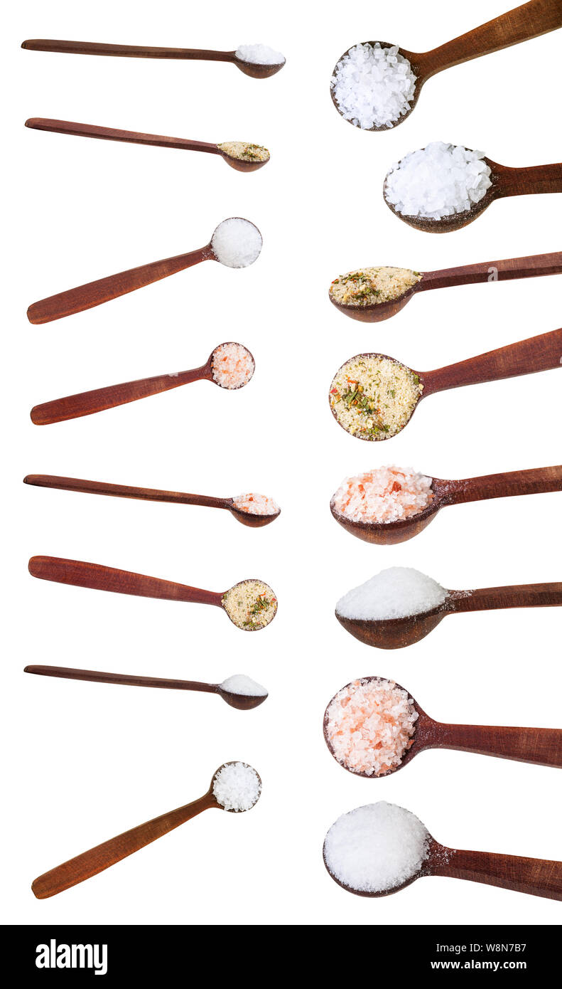 set from little dark brown wooden salt spoon with various salts ...