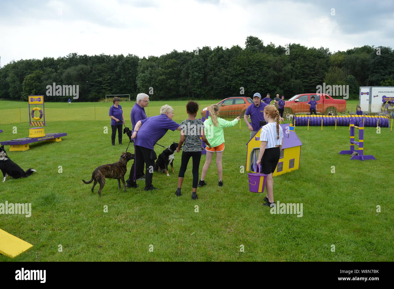 dog competition trained dog racing and jumping and playing champion ...
