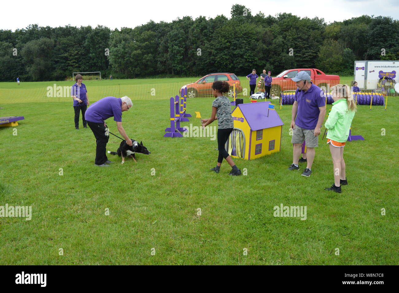 dog competition trained dog racing and jumping and playing champion ...