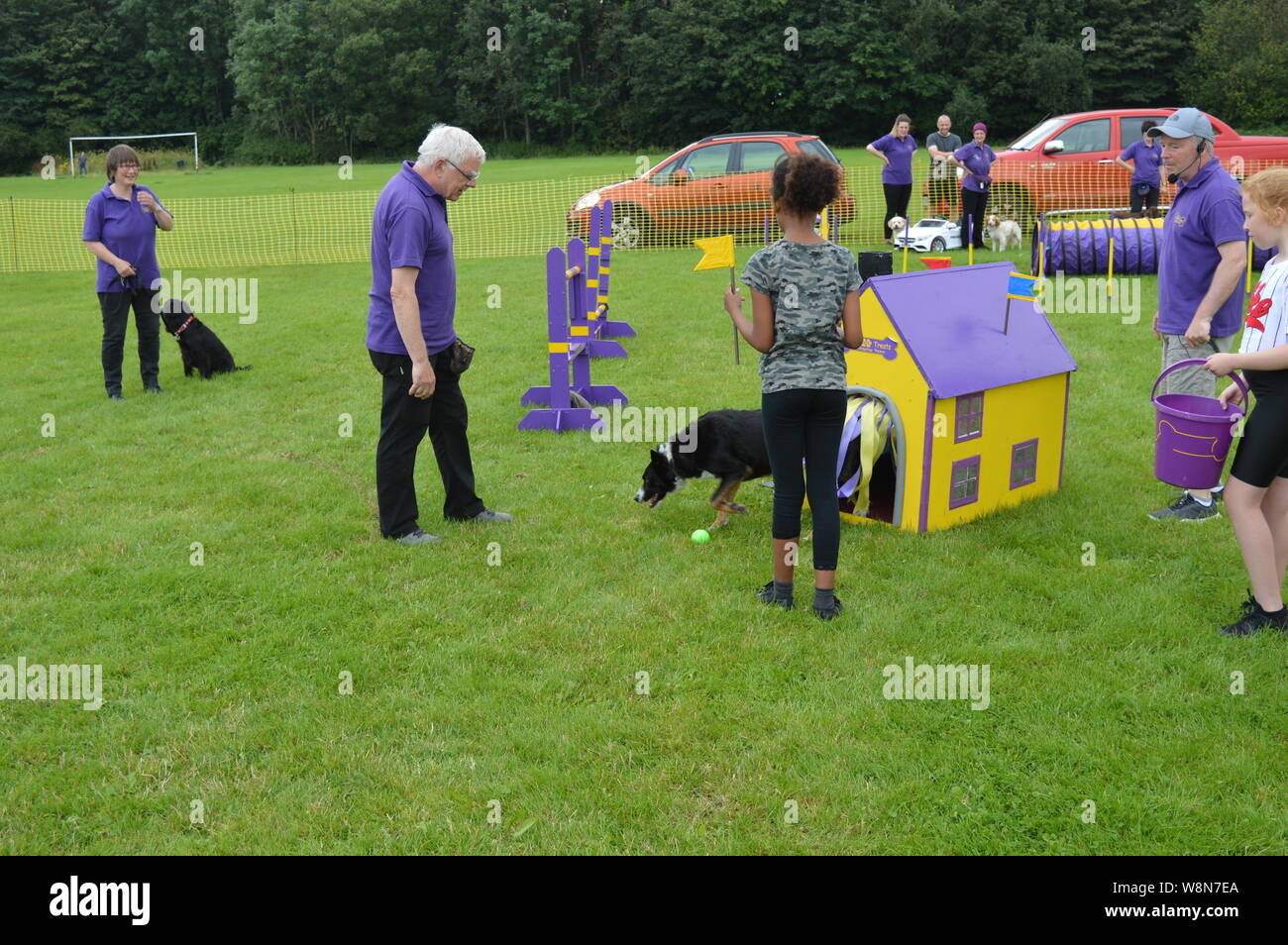 dog competition trained dog racing and jumping and playing champion ...