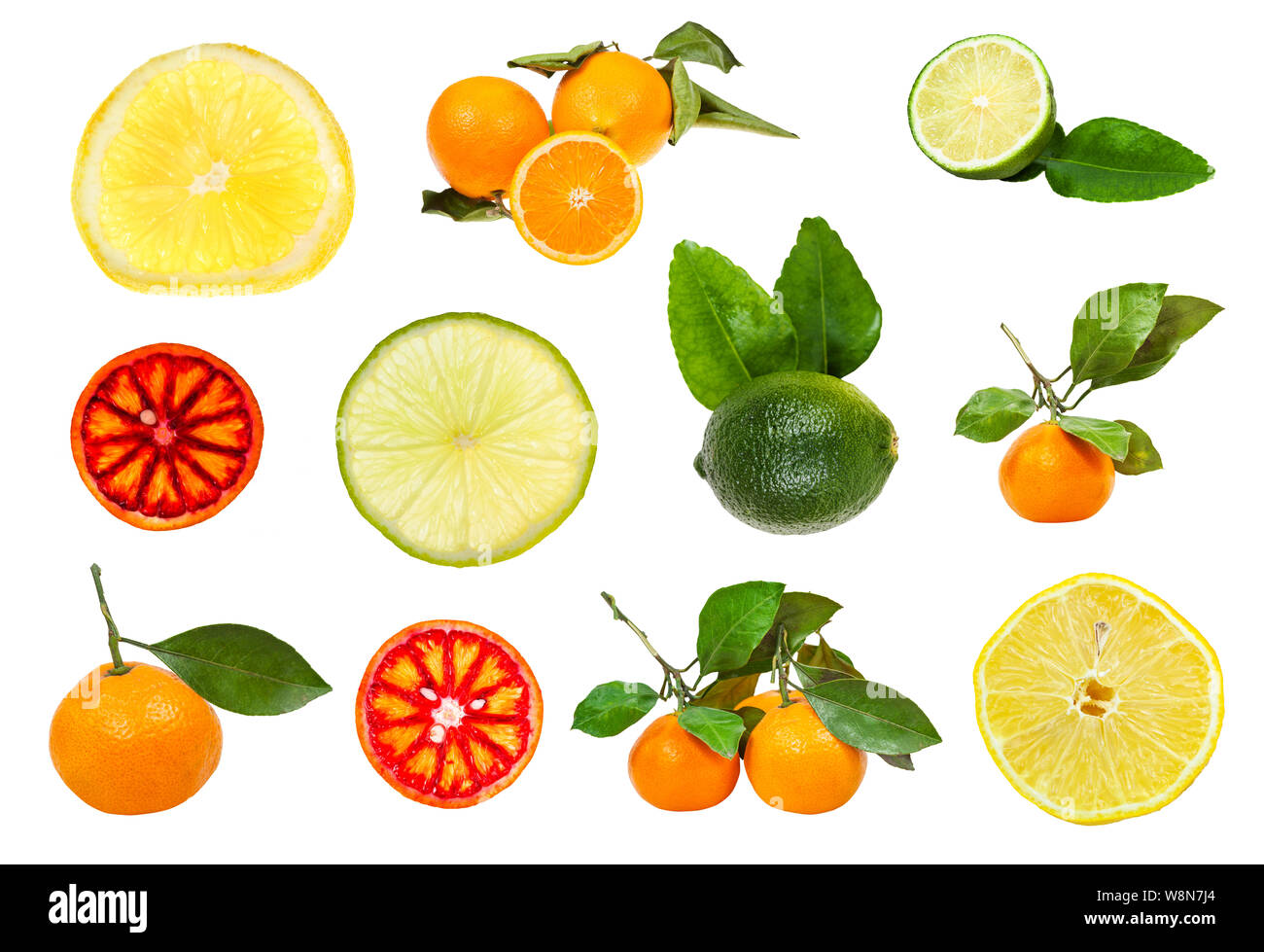 thin slice of fresh lemon lit from behind isolated on white background ...