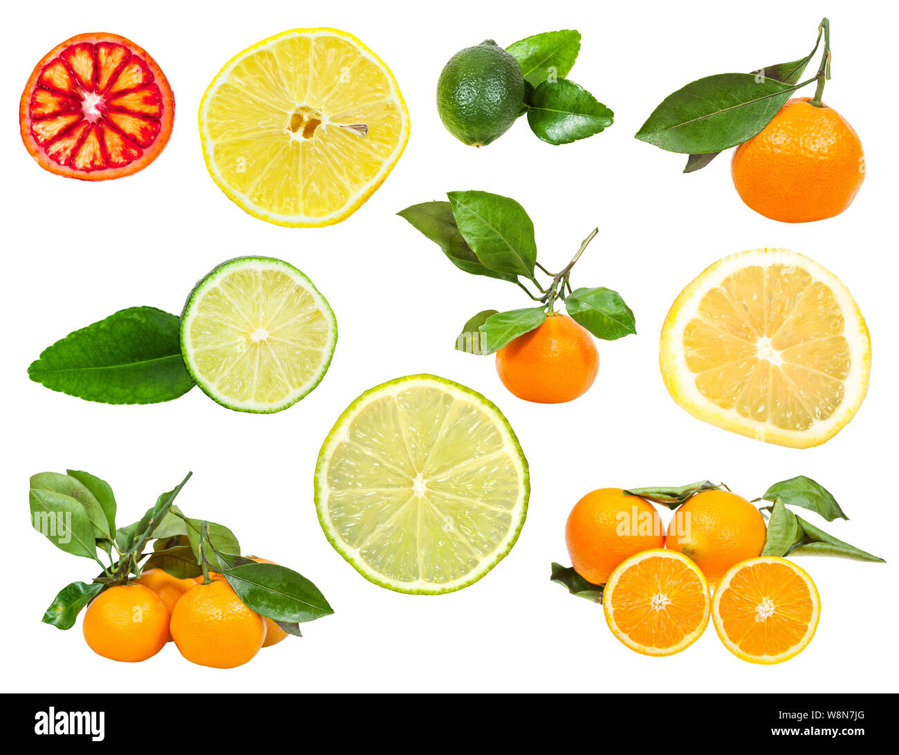 set of various fresh citruses isolated on white background Stock Photo ...