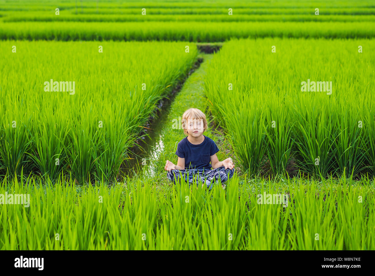 Little boy practices yoga in a rice field, outdoor. Gymnastic exercises ...