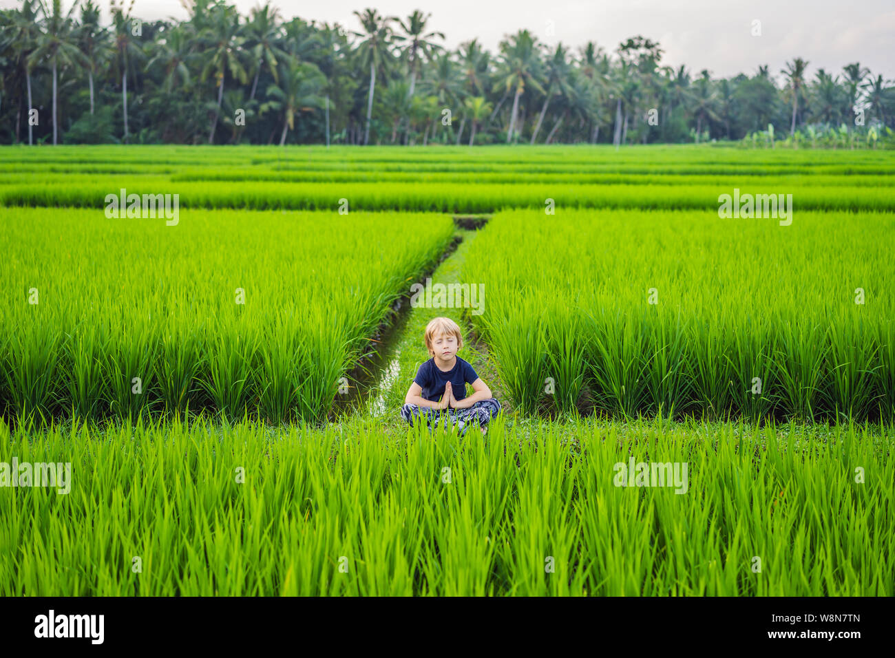 Little boy practices yoga in a rice field, outdoor. Gymnastic exercises ...