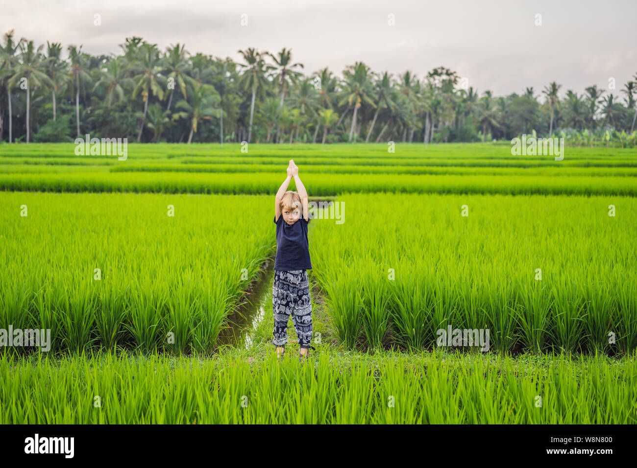 Little boy practices yoga in a rice field, outdoor. Gymnastic exercises ...