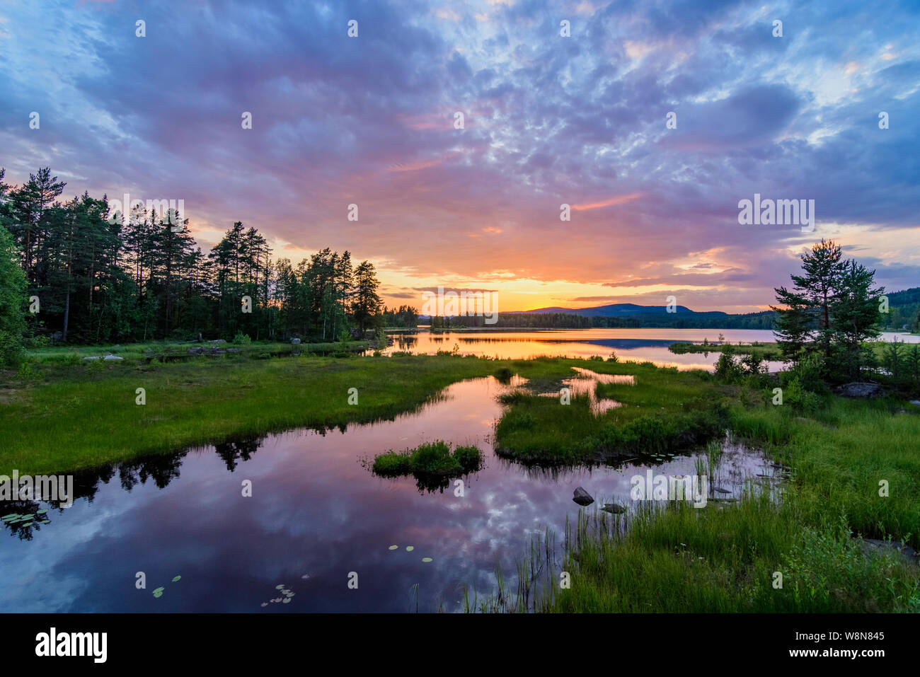 Glorious trees hi-res stock photography and images - Alamy