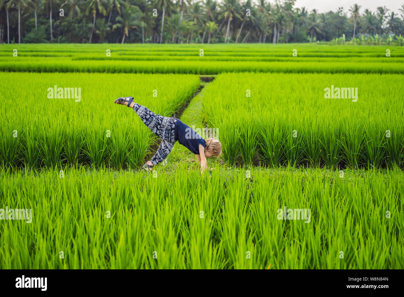 Little boy practices yoga in a rice field, outdoor. Gymnastic exercises ...