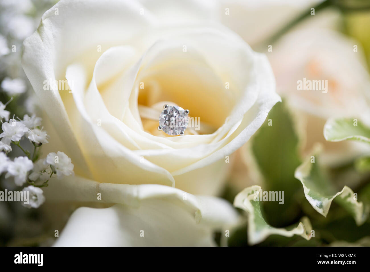 The bling ring set hi-res stock photography and images - Alamy