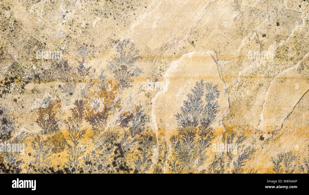 Natural Graphic Background Concept Patterns in Stones or Rock Slabs ...