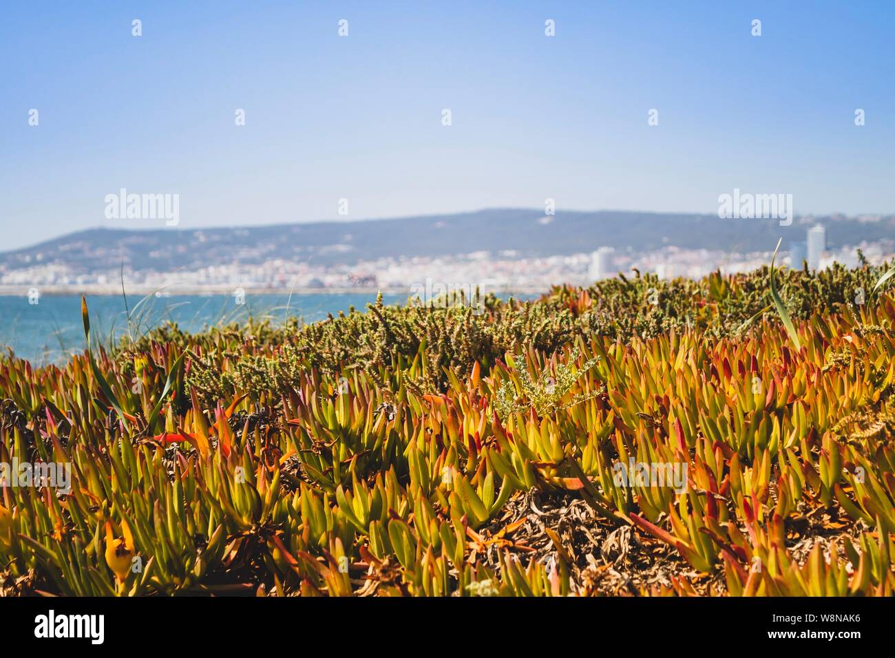 Boho 70s hi-res stock photography and images - Alamy