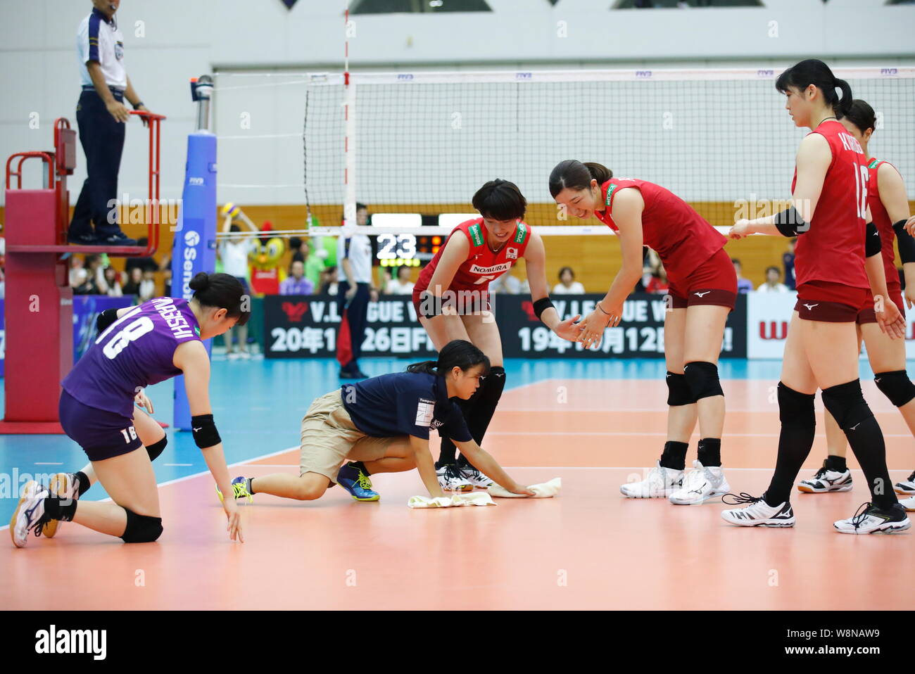 Team turtle hi-res stock photography and images - Alamy