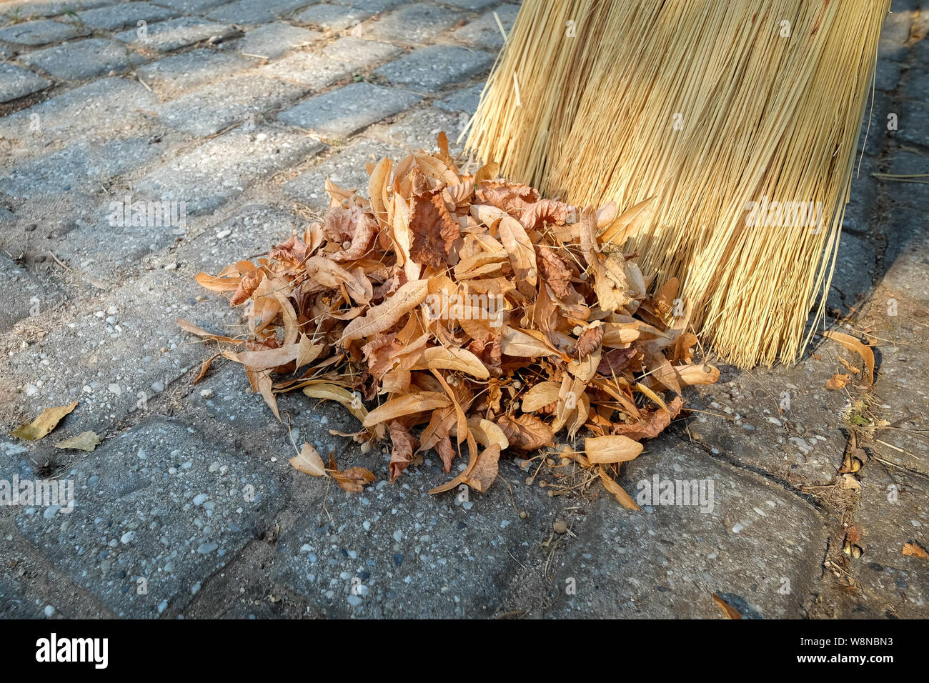 Sweeping broom garden hi-res stock photography and images - Alamy