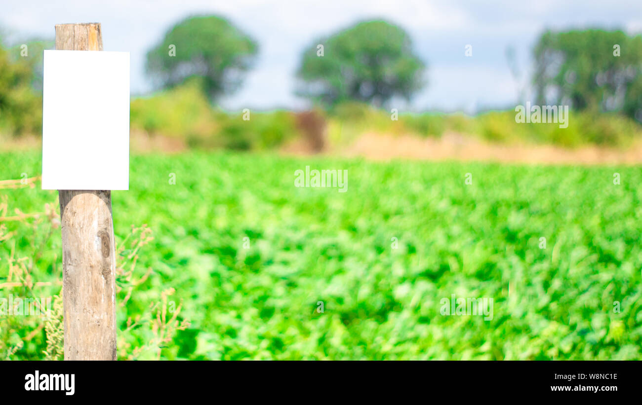 small empty sign for a Dutch landscape to place your own text or image ...