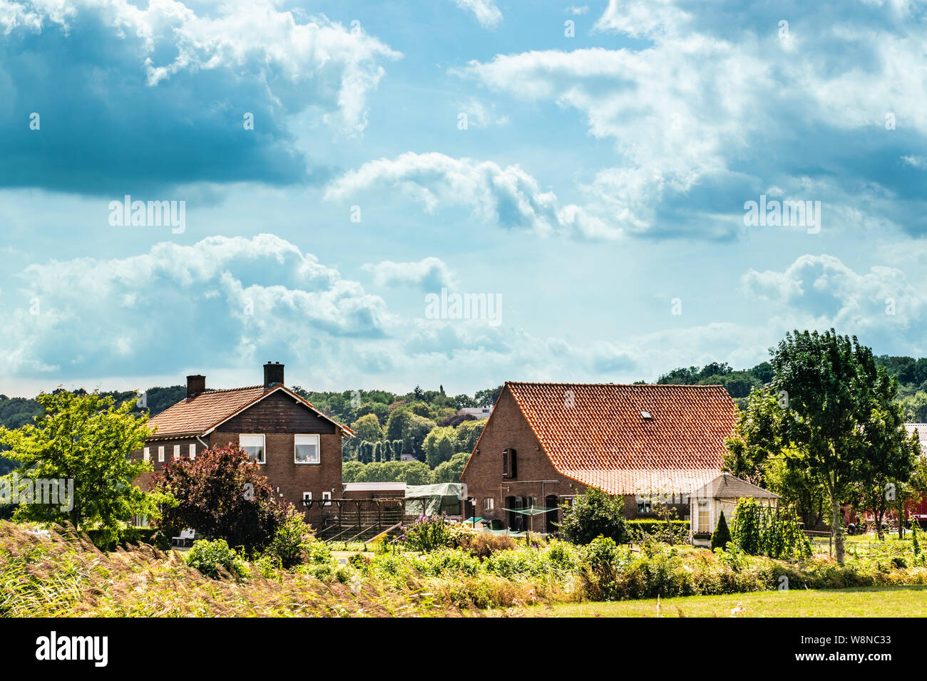 A traditional Dutch farm family house in a typical dutch landscape, The ...