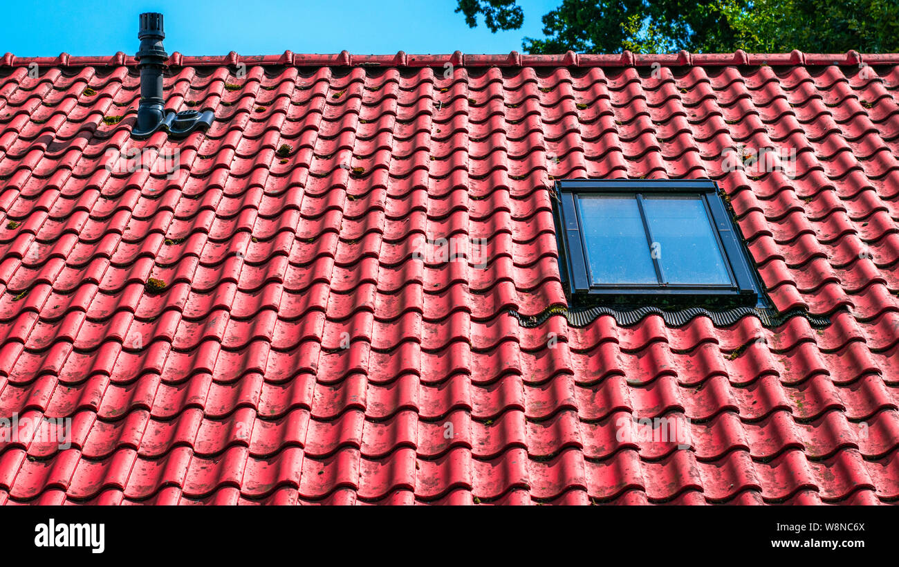 Dutch orange roof with a window Stock Photo - Alamy