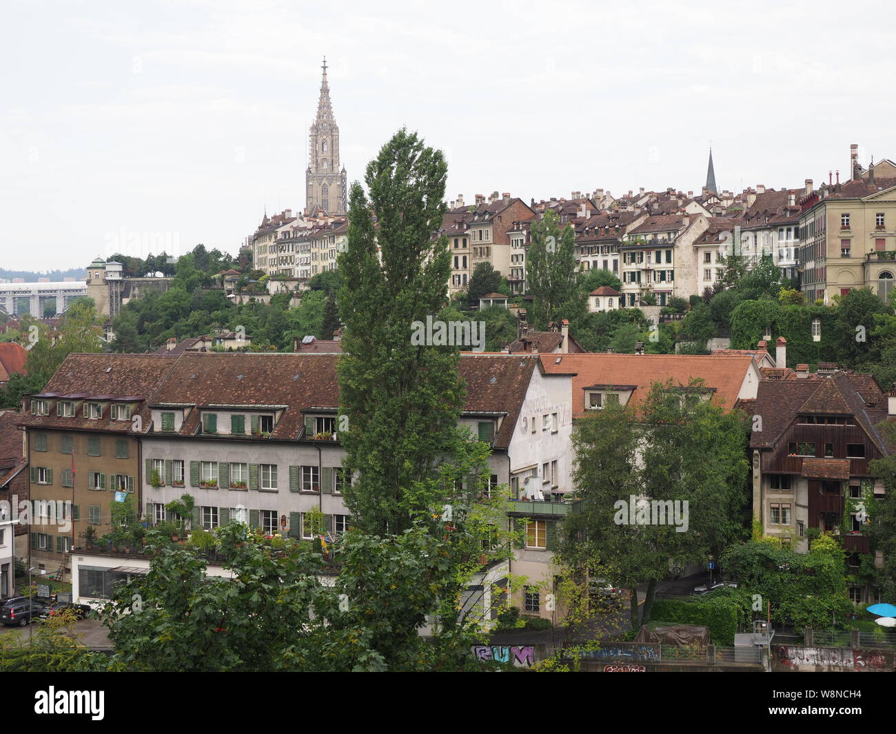 Berne City Trees High Resolution Stock Photography and Images - Alamy