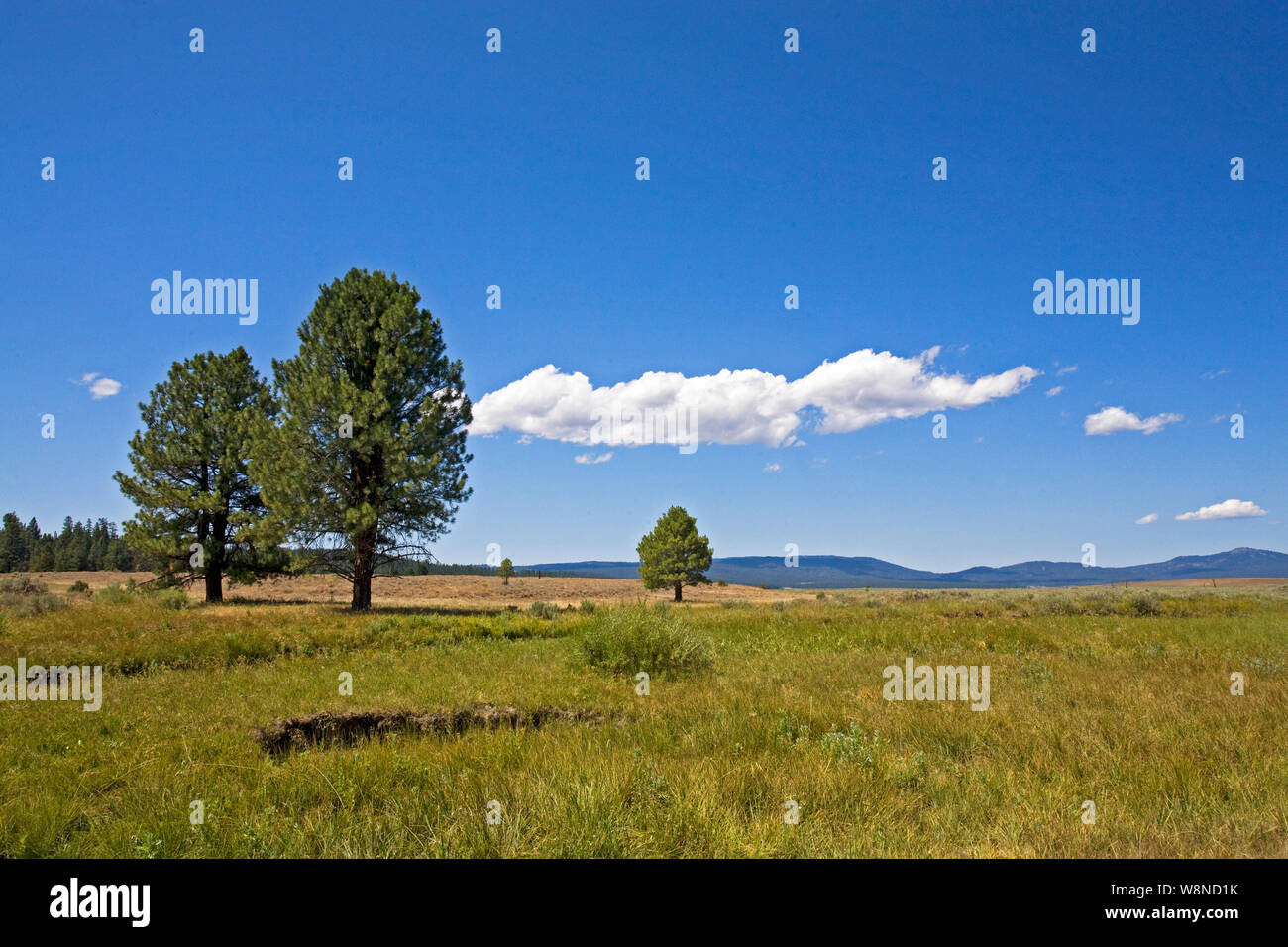 Big summit prairie hi-res stock photography and images - Alamy