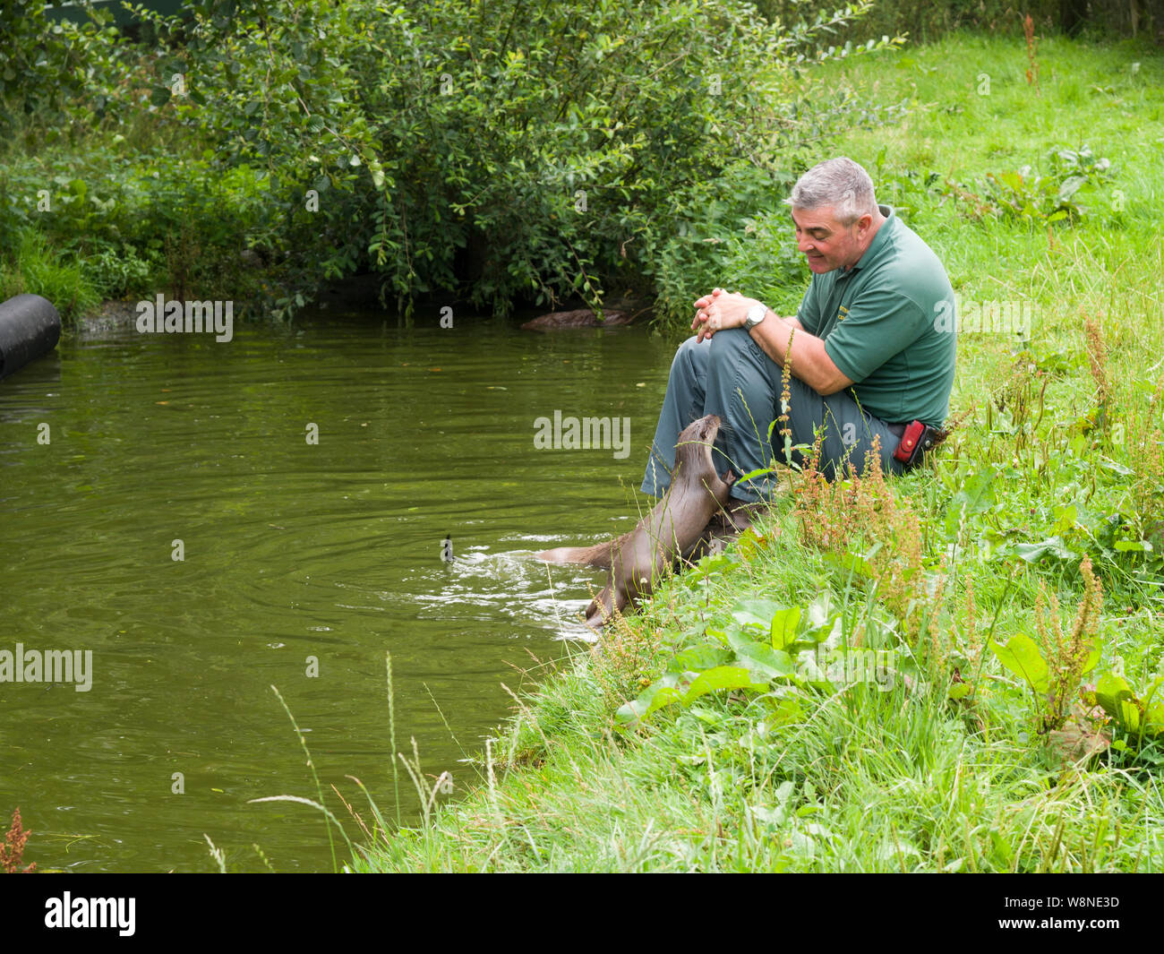 Cute british wildlife hi-res stock photography and images - Alamy