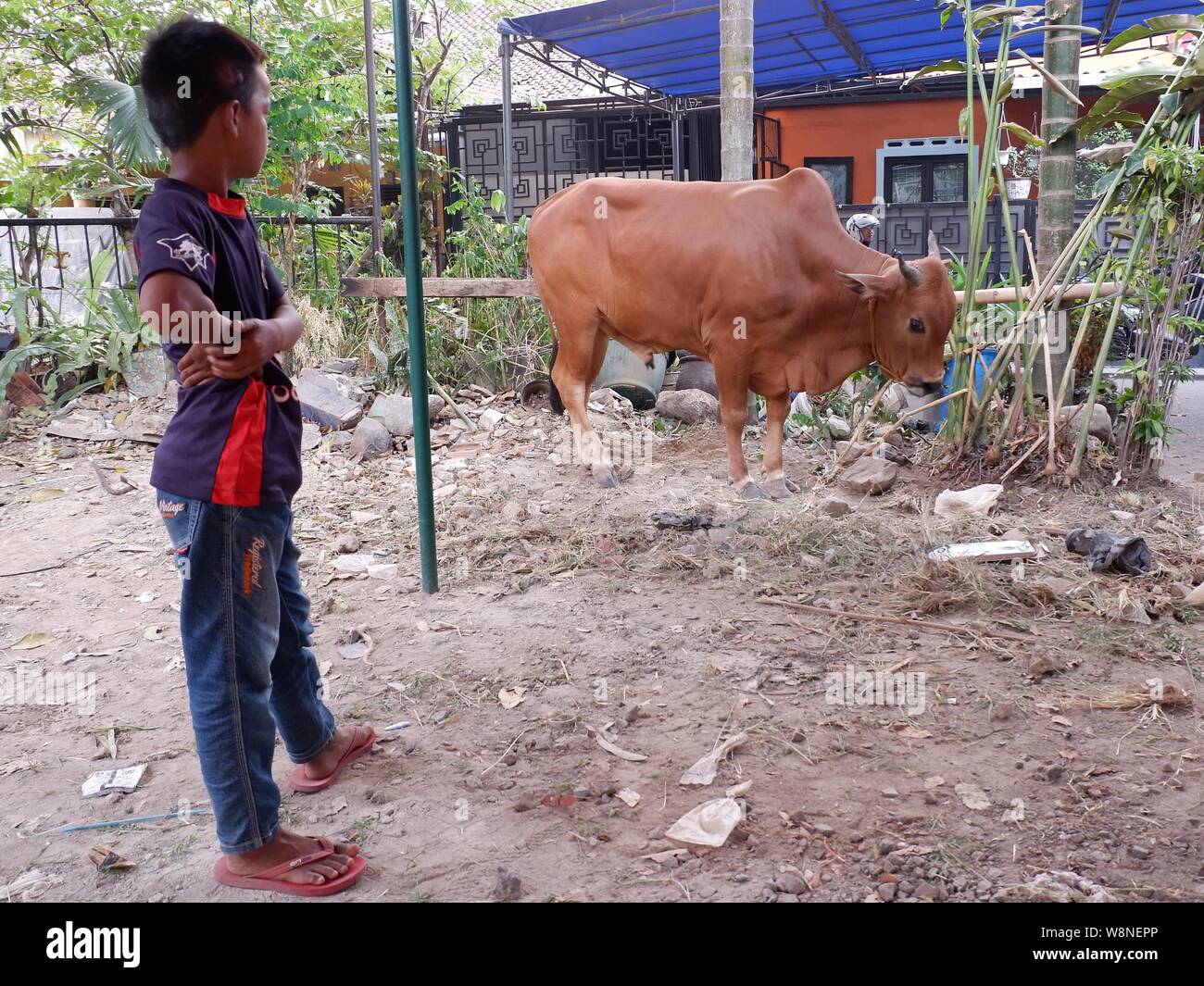 Tied up rope person hi-res stock photography and images - Alamy