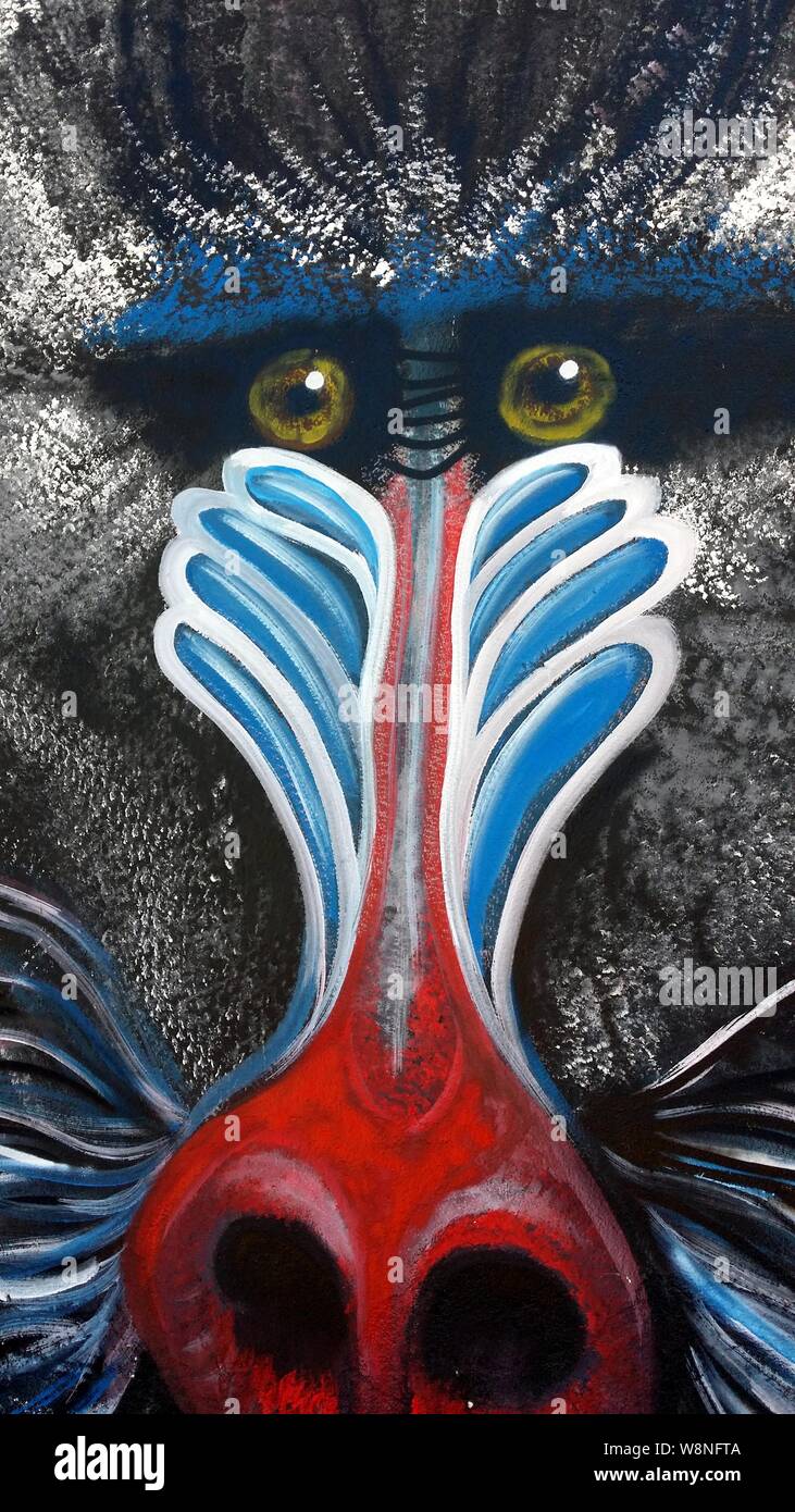 illustration of a monkey's face Stock Photo - Alamy