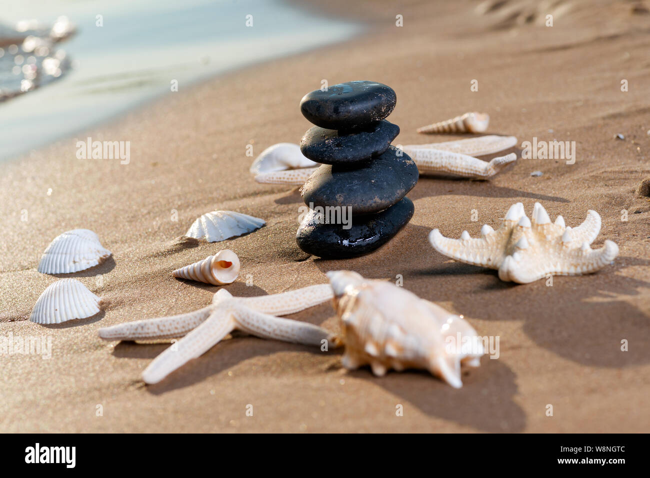 Spa composition - stacked Basalt Stones, Seashells and Sea Stars on the ...