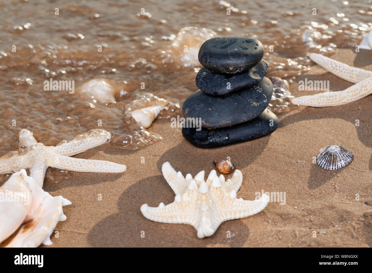 Spa composition - stacked Basalt Stones, Seashells and Sea Stars on the ...