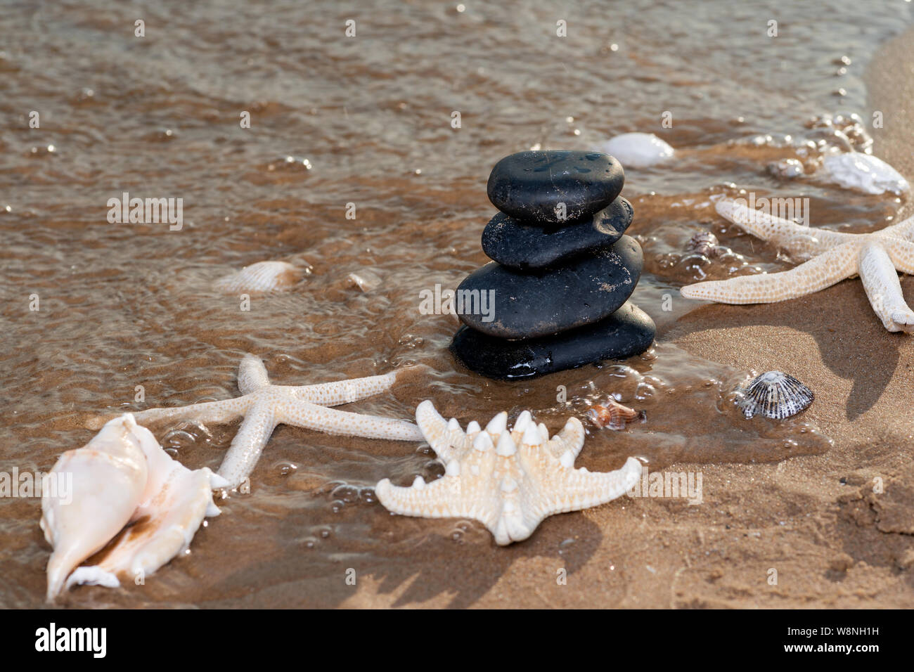 Spa composition - stacked Basalt Stones, Seashells and Sea Stars on the ...