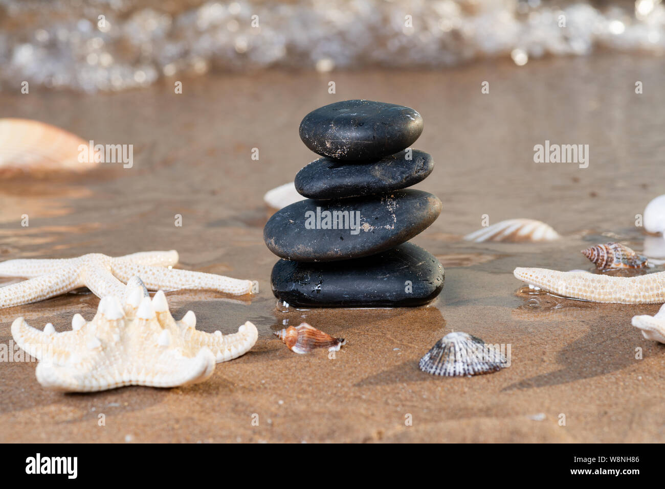Spa composition - stacked Basalt Stones, Seashells and Sea Stars on the ...