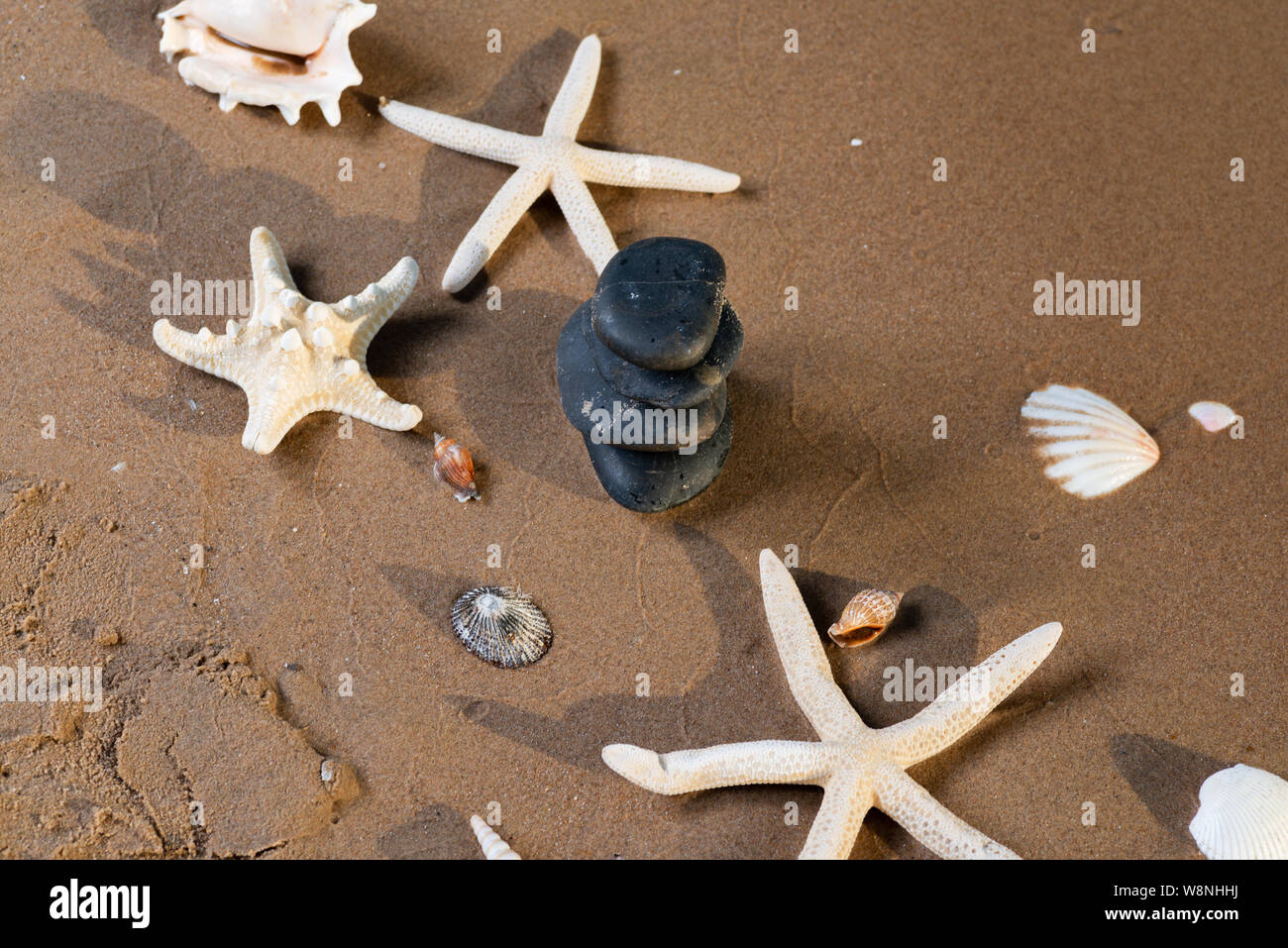 Spa composition - stacked Basalt Stones, Seashells and Sea Stars on the ...