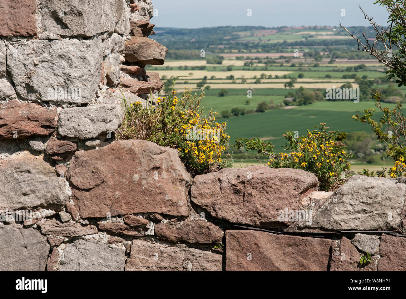 From beeston hi-res stock photography and images - Alamy