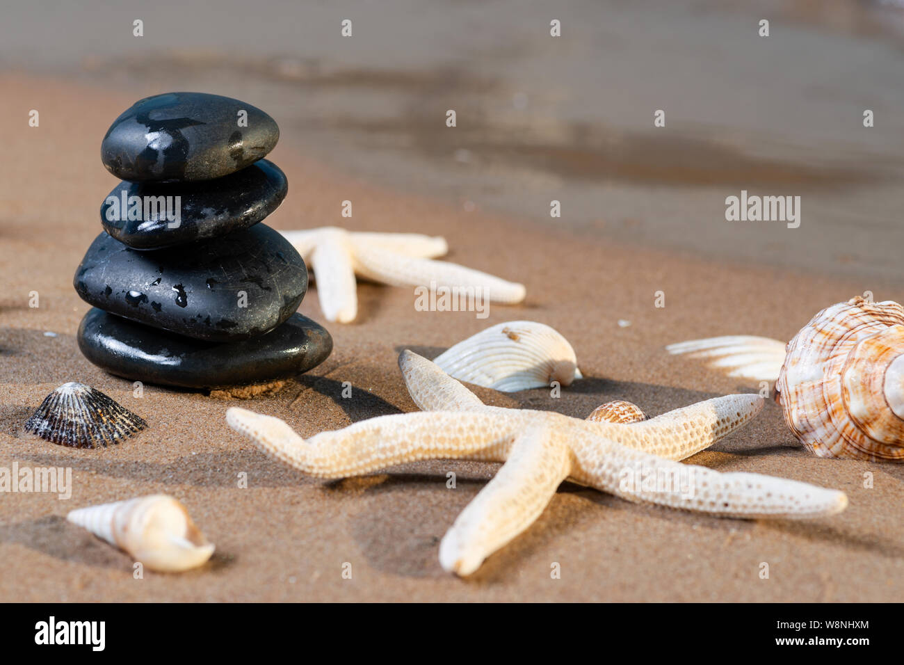 Spa composition - stacked Basalt Stones, Seashells and Sea Stars on the ...
